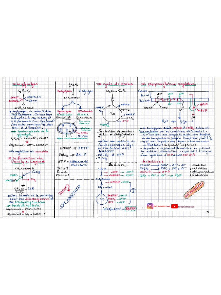 Résumé SVT 2bac PC | PDF
