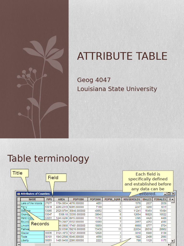 CHP 7 Work With Attribute Tables | PDF | Sql | Microsoft Excel