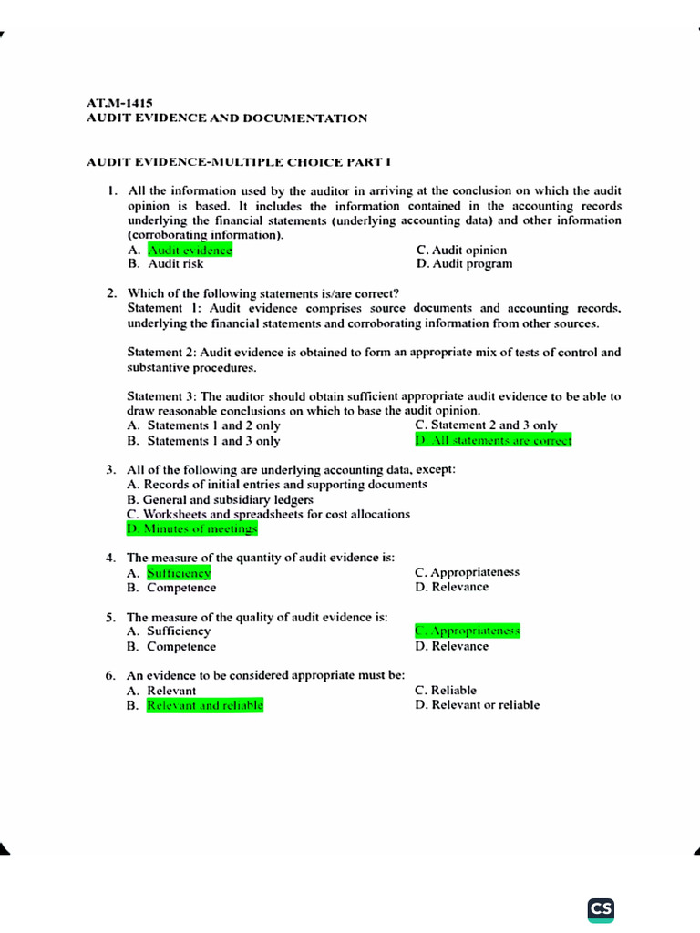 Audit Procedure Testing and Documentation | PDF