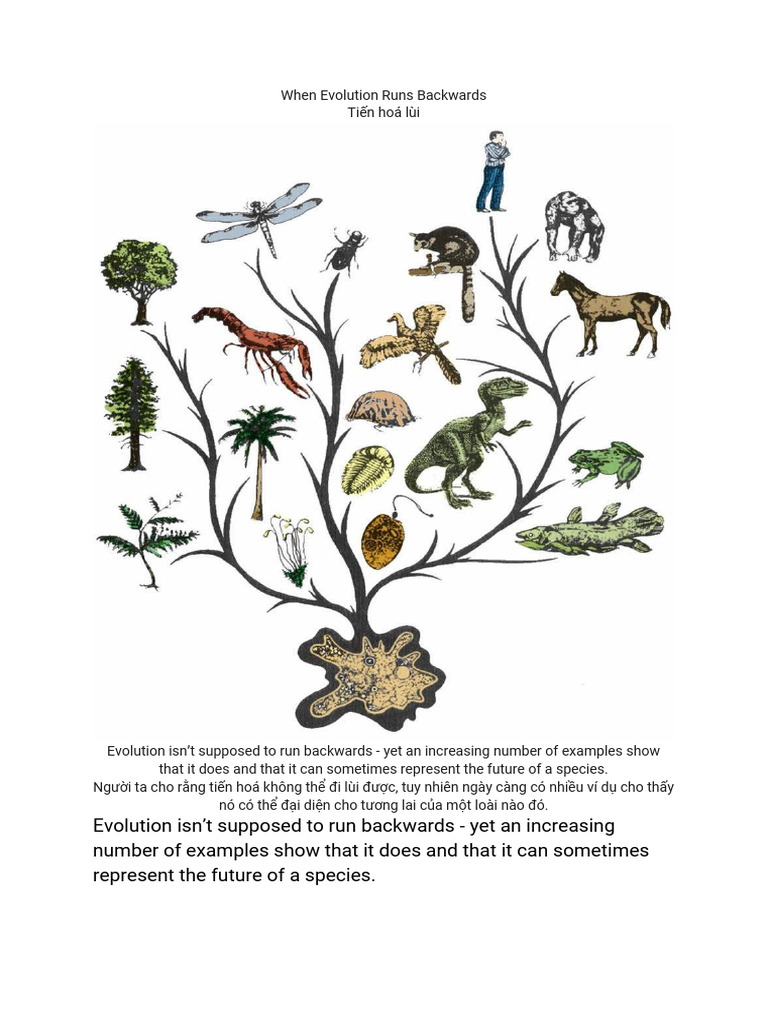 When Evolution Runs Backwards | PDF