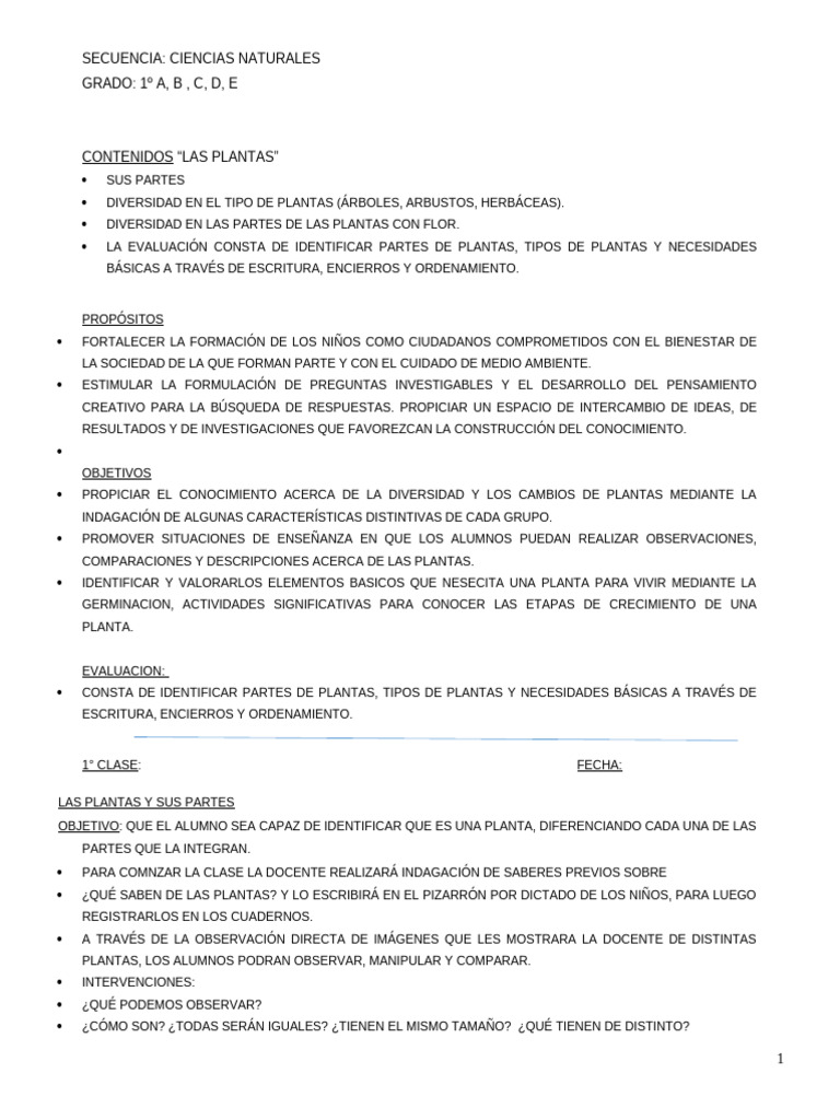 Planif. Cs. Nat Las Plantas Ep 92 | PDF | Plantas | Jengibre