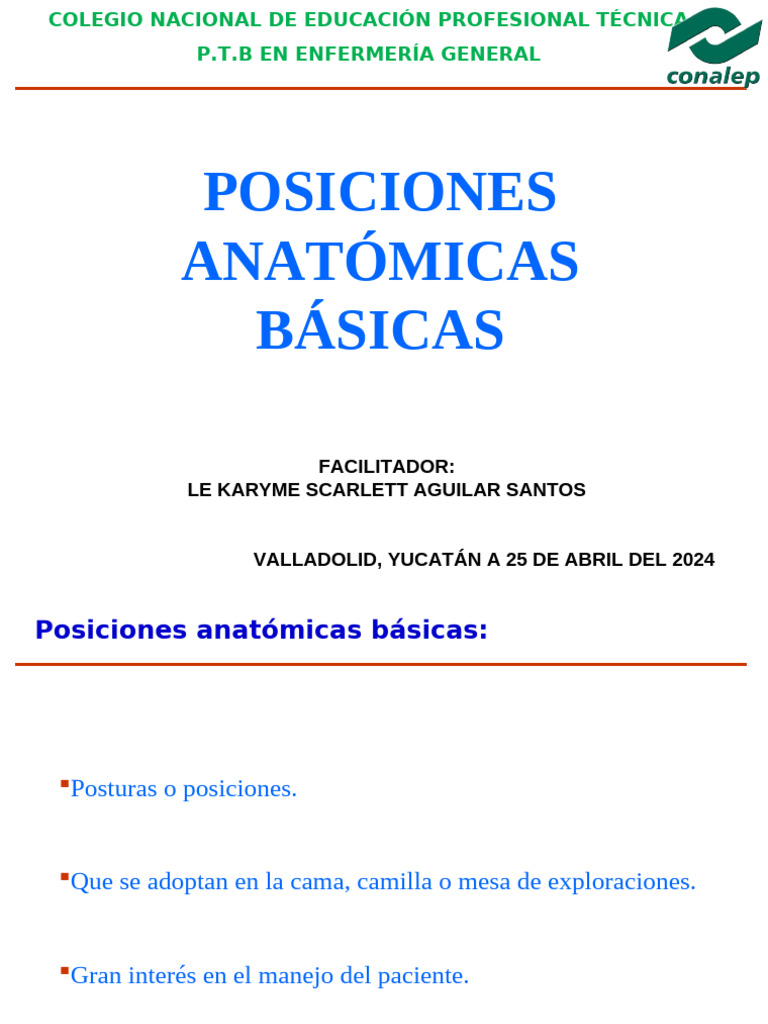 Posiciones Anatómicas Básicas | PDF | Tórax | Hombro