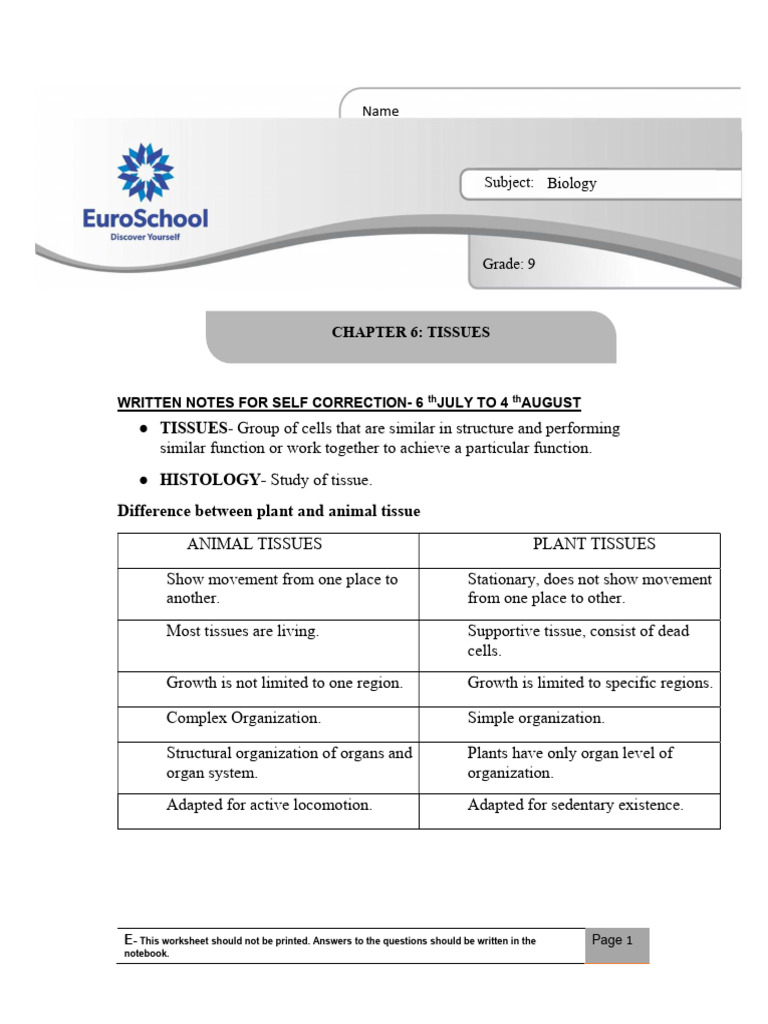 Grade 9 Bio Notes - Chapter 6-Plant Tissues | PDF | Tissue (Biology) | Leaf