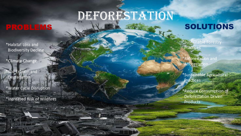 Afforestation Solutions to Deforestation | PDF