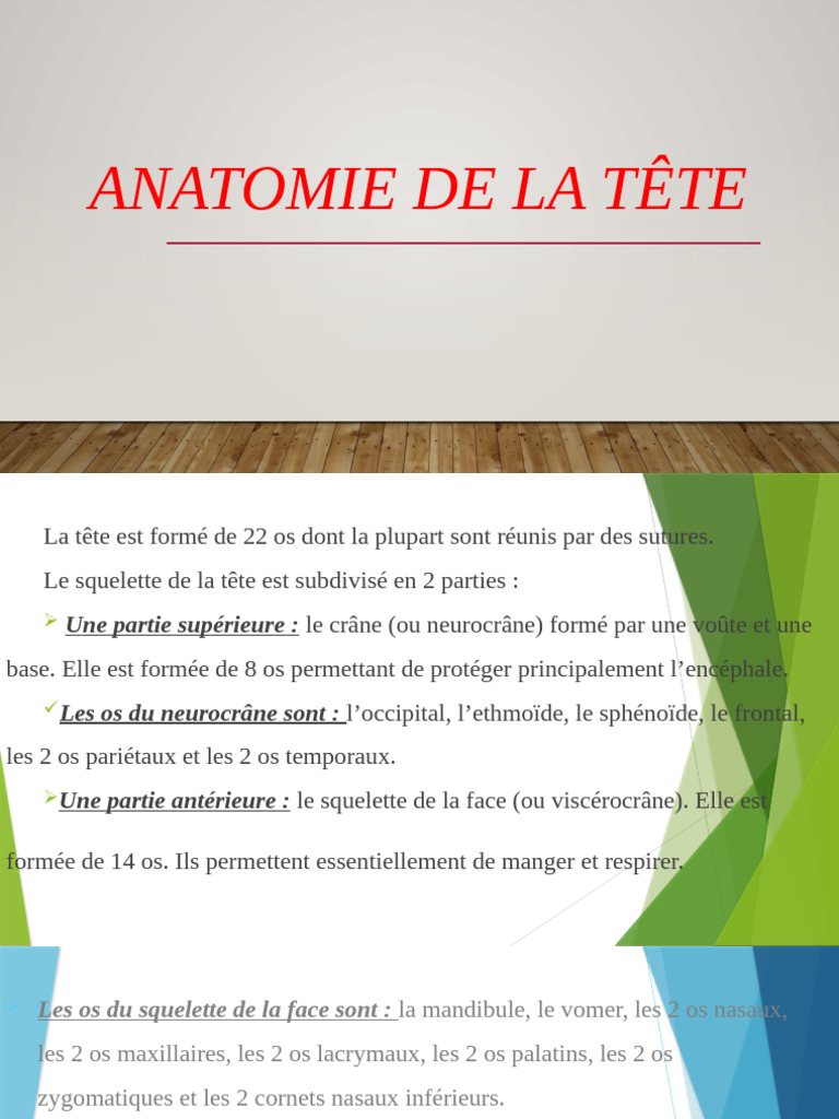 Anatomie du Crâne et Viscérocrâne | PDF | Crâne | Système squelettique
