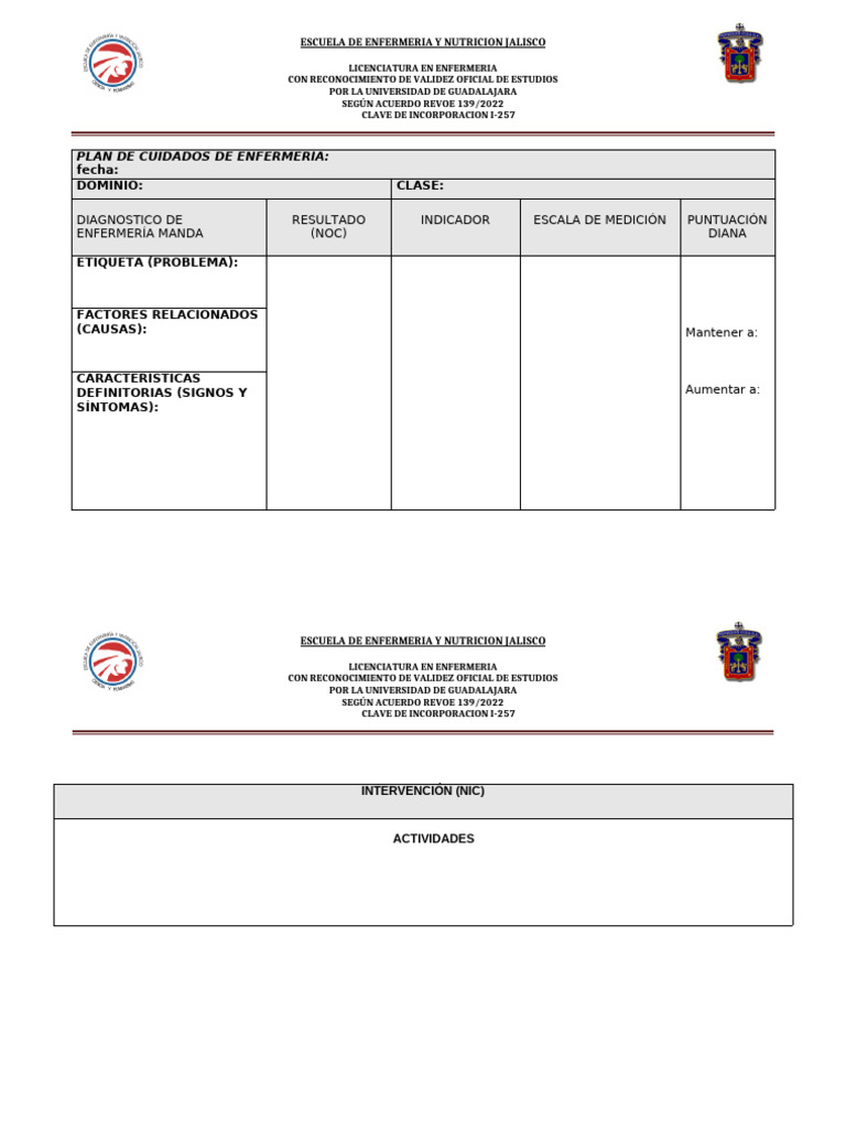 PAE Formato | PDF | Enfermería | Programas sociales