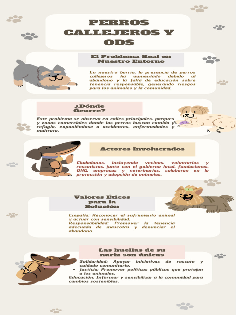 Infografía ODS | PDF
