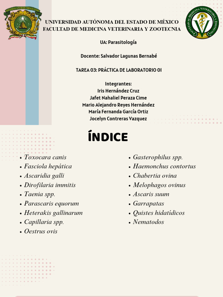 Práctica. Tarea 03 - Compressed | PDF