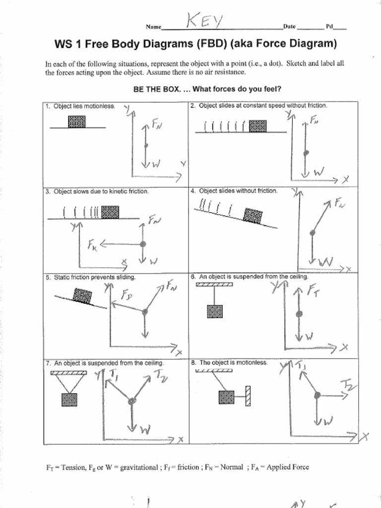 Ws1 FBD Answers | PDF