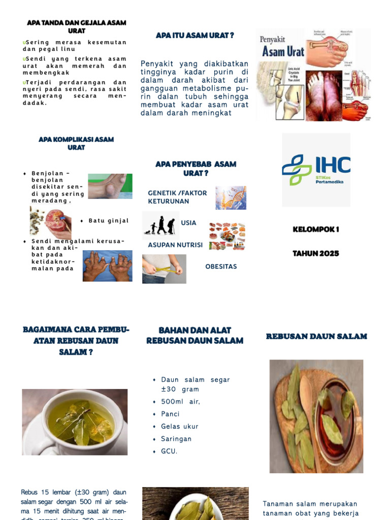 Leaflet Asam Urat | PDF