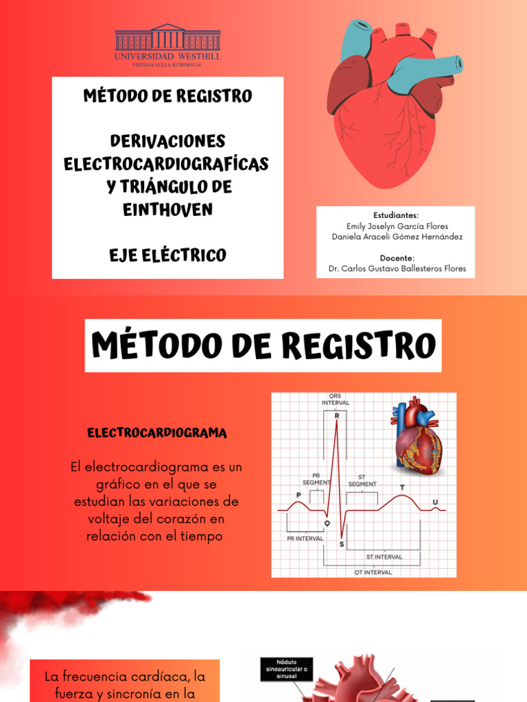 Metodo de Registro, Derivaciones Electrocardiograficas y Triangulo de ...