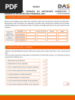 FAB Test Evaluacion Frontal | PDF | Cognición | Prueba / examen