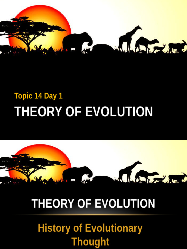 Theory of Evolution - Final | PDF | Evolution | Ape
