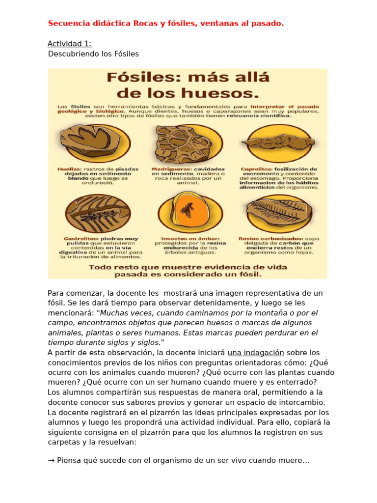 2ciencias Naturales 4to Rocas y Fosiles - Paglilla | PDF | Fósil | Roca ...