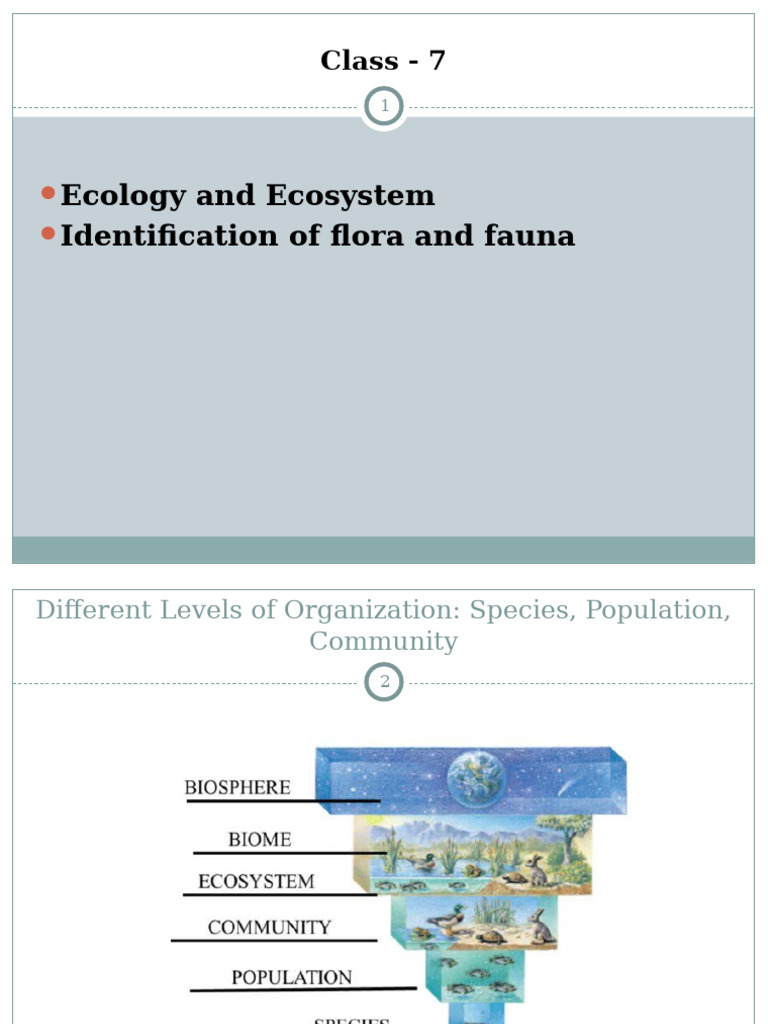 Class 7 Ecology and Ecosystem & Identification of Flora and Fauna | PDF ...