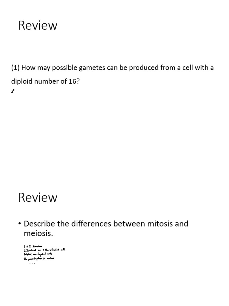 Mendelian Genetics: Gametes and Traits | PDF | Dominance (Genetics ...