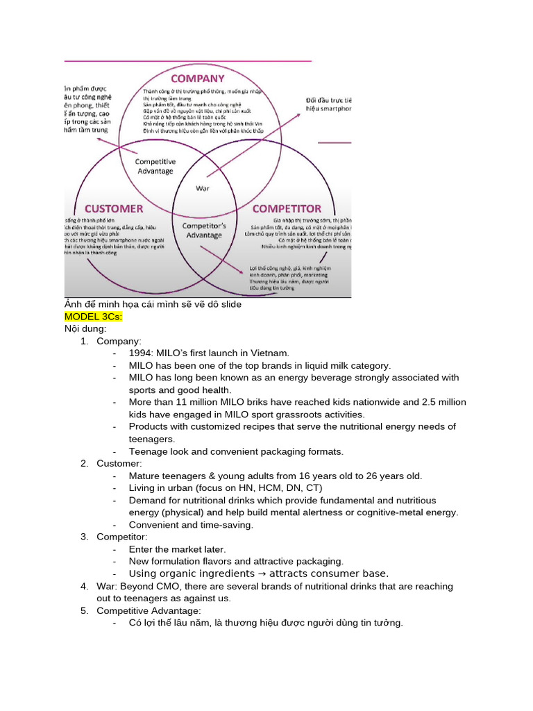 BLM-Analyse-Model 3Cs+5W1H | PDF