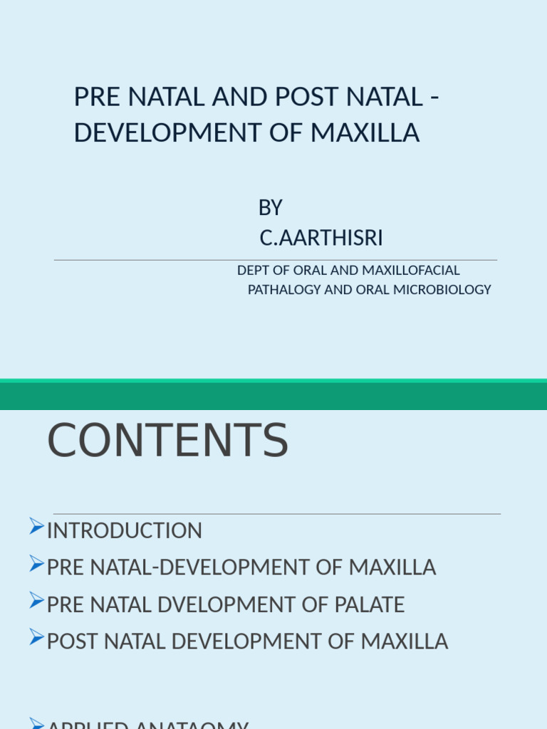 Development of Maxilla | PDF | Skull | Anatomical Terms Of Location