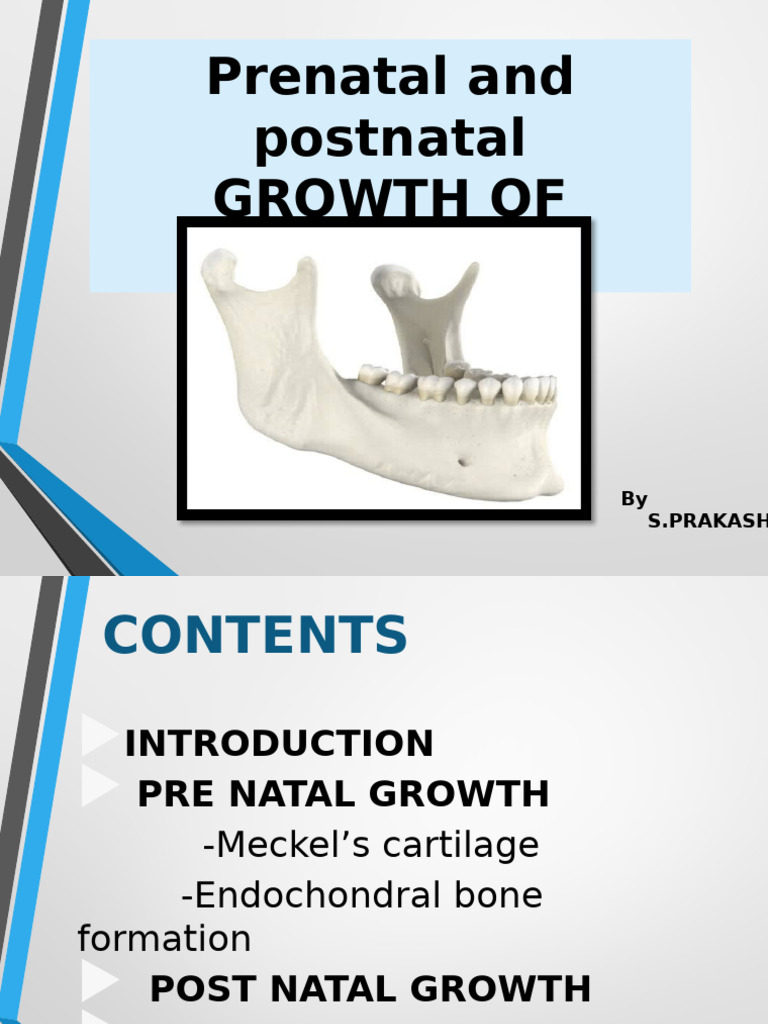 Growth of Mandible Ortho | PDF | Anatomy
