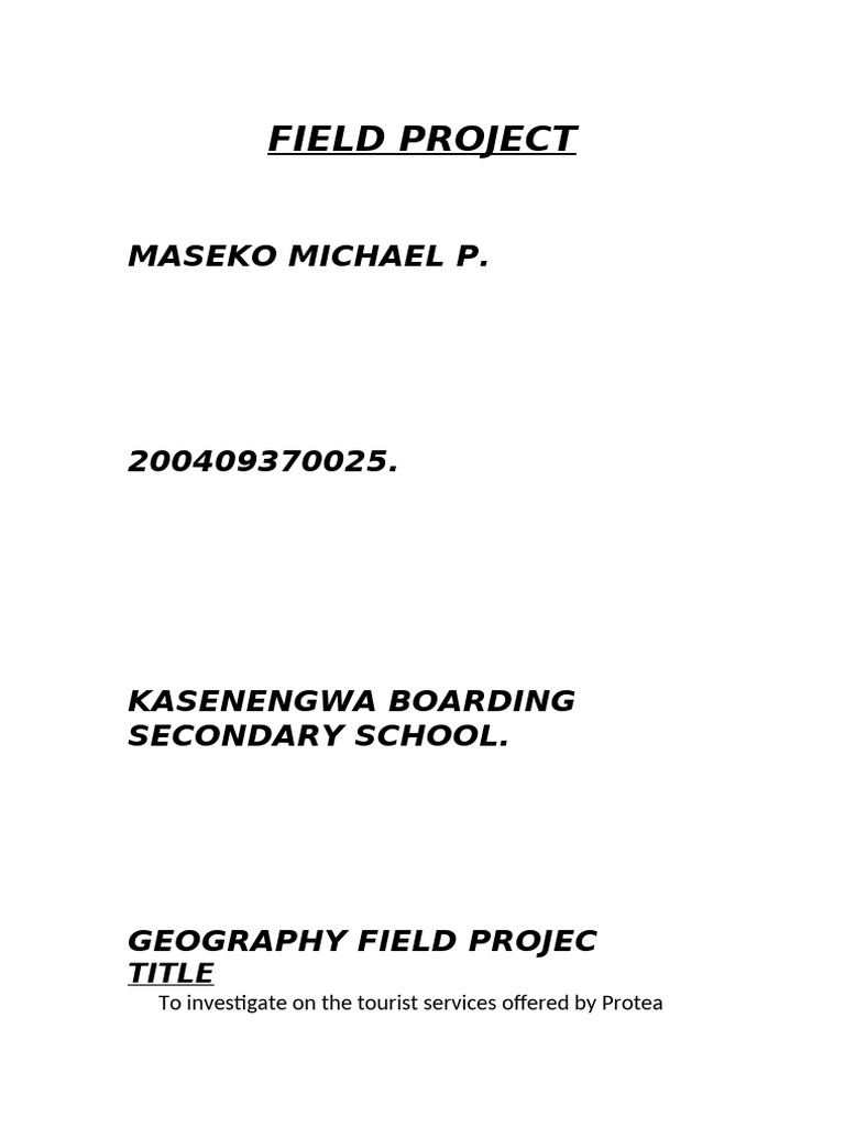 Michael Maseko Field Project | PDF