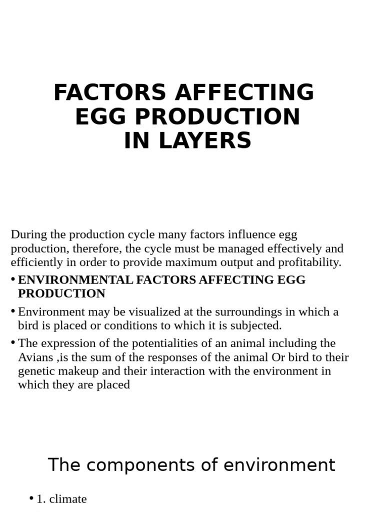 Factors Influencing Egg Production | PDF | Birds | Egg