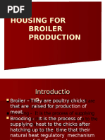 Broiler House Design and Requirements | PDF | Birds | Poultry Farming