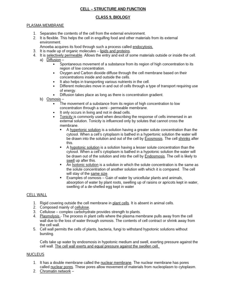 Cell Structure and Function - Final | PDF | Endoplasmic Reticulum ...