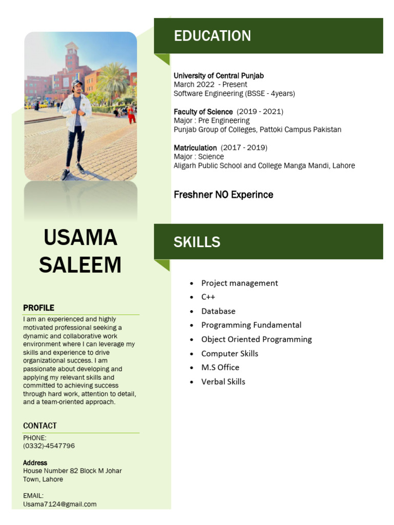 Usama New CV | PDF