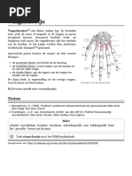 Processus Styloideus Ulnae - Wikipedia | PDF