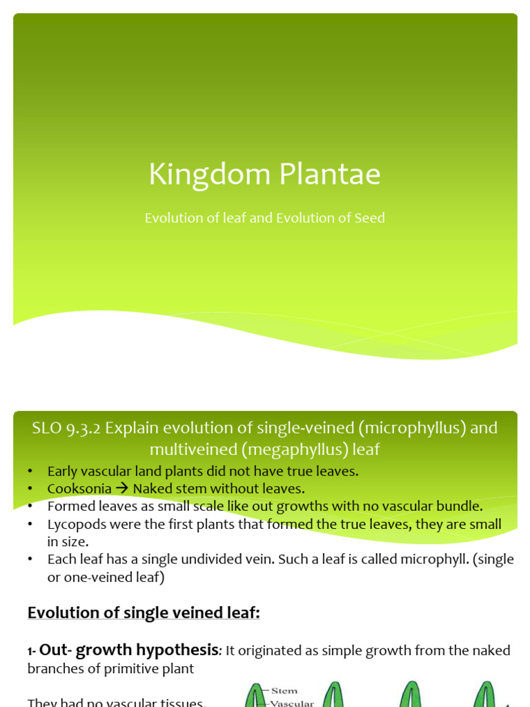 Evolution of Leaf and Seed | PDF | Spore | Leaf