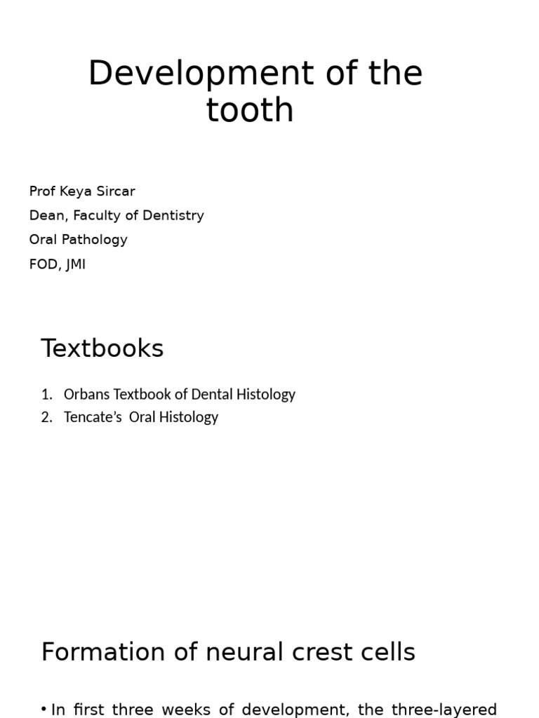 Development of Teeth Lecture 1 2024 | PDF | Nervous System | Tooth