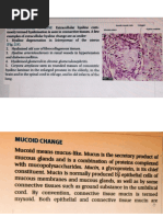 Councilman Body in Human Biology - Wikipedia | PDF | Apoptosis | Liver