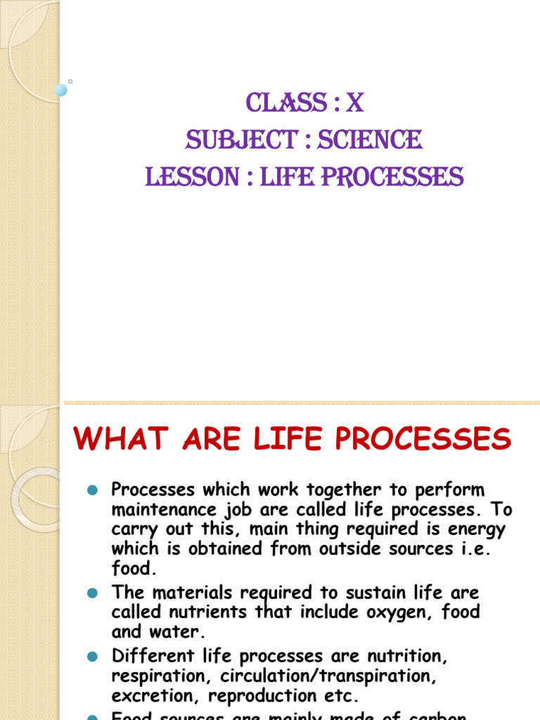 Life Processes X-1 - Edited | PDF | Respiratory Tract | Circulatory System