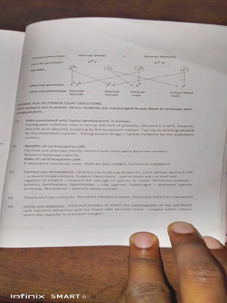 PDF Img2pdf 11may25 0959 | PDF