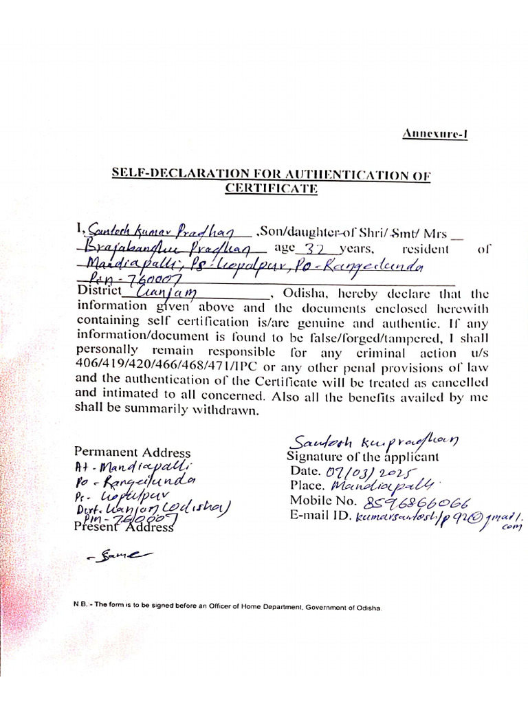 SELF DECLARATION | PDF