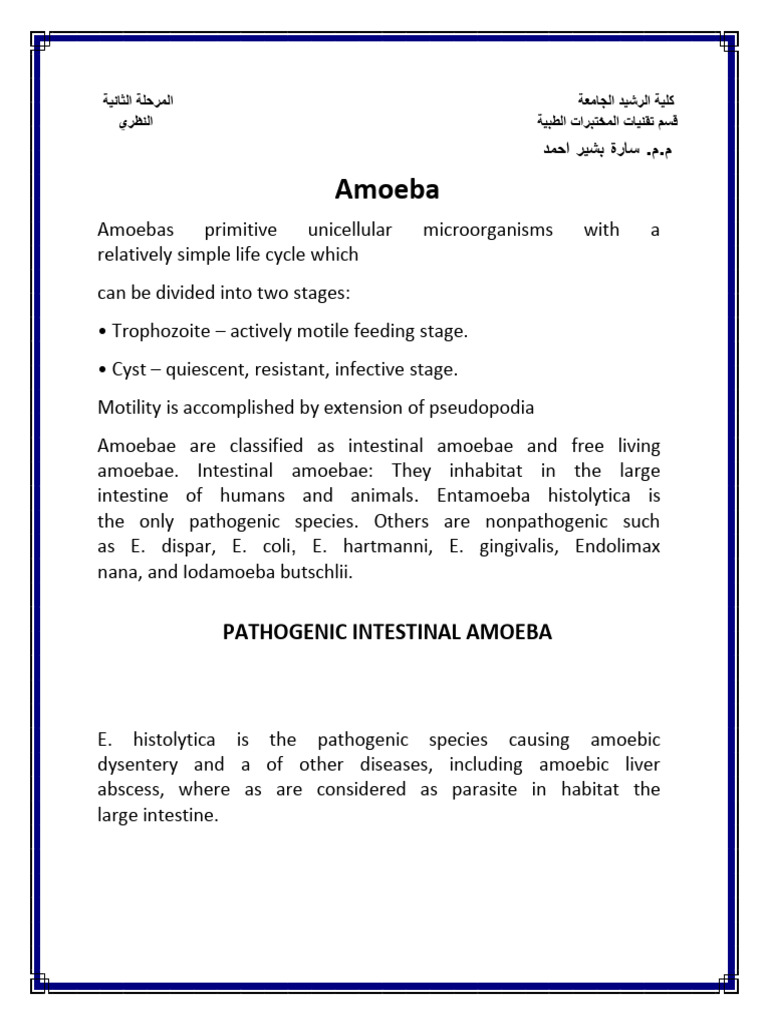 Amoeba Life Cycle and Pathogenesis | PDF | Microbiology | Medical ...