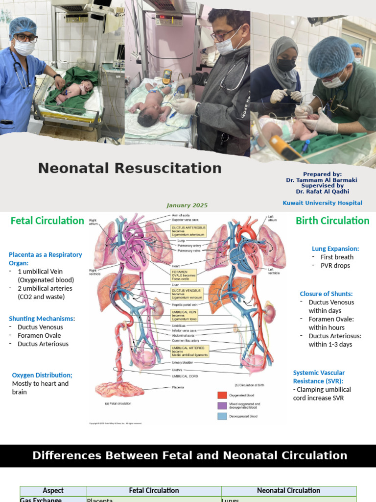 Neonatal Resuscitation - Tammam - Kuwait University Hospital | PDF ...