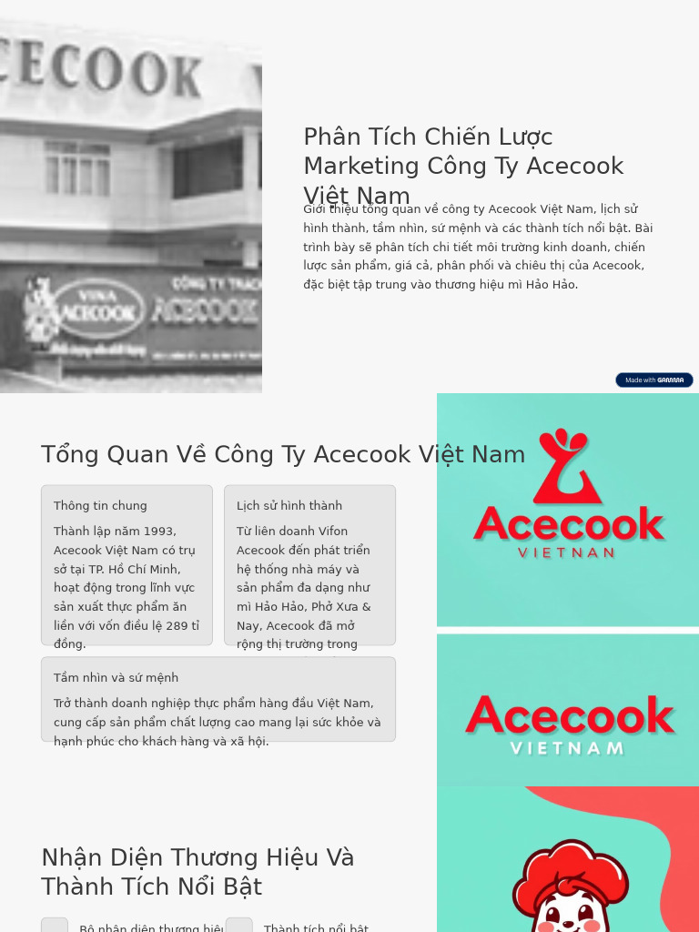 Phan Tich Chien Luoc Marketing Cong Ty Acecook Viet Nam | PDF