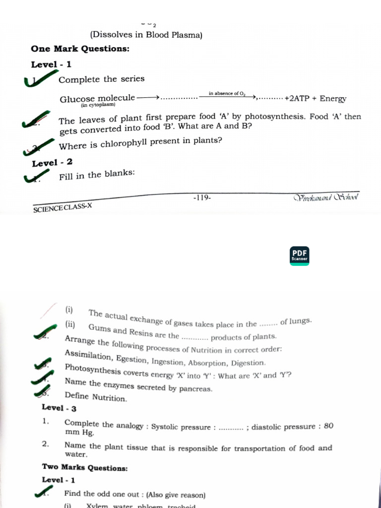 Assign Module Life Processes | PDF