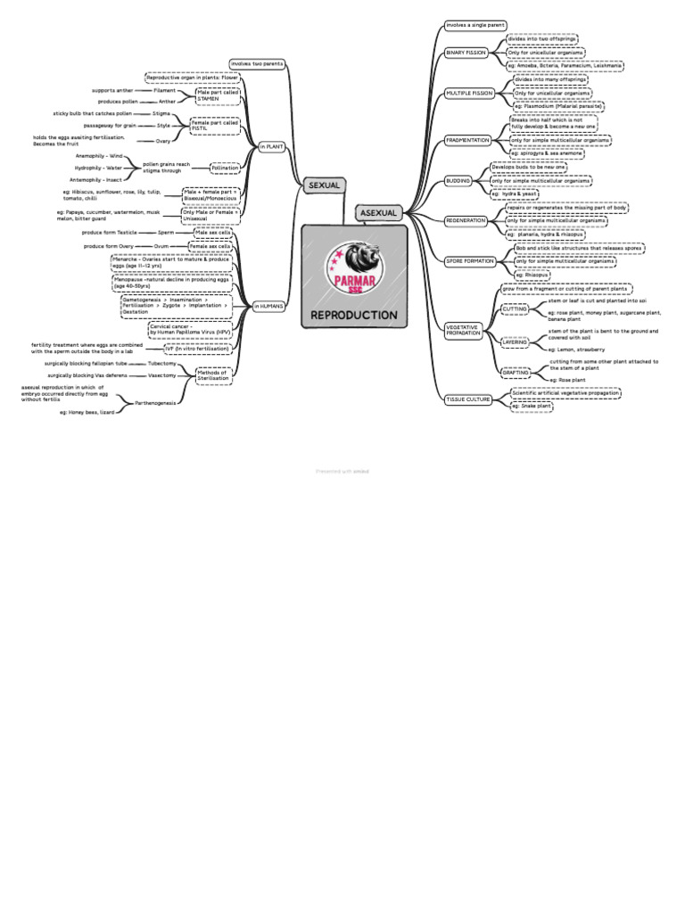 Reproduction Mind Map | PDF | Sexual Reproduction | Fertilisation
