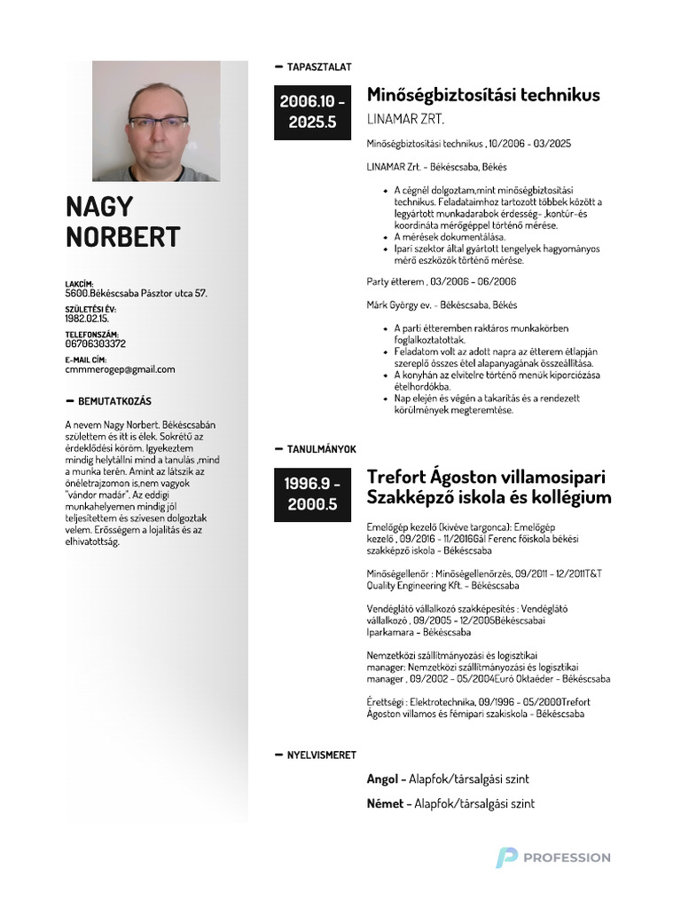 Nagy Norbert CV 20250303130340-7 | PDF