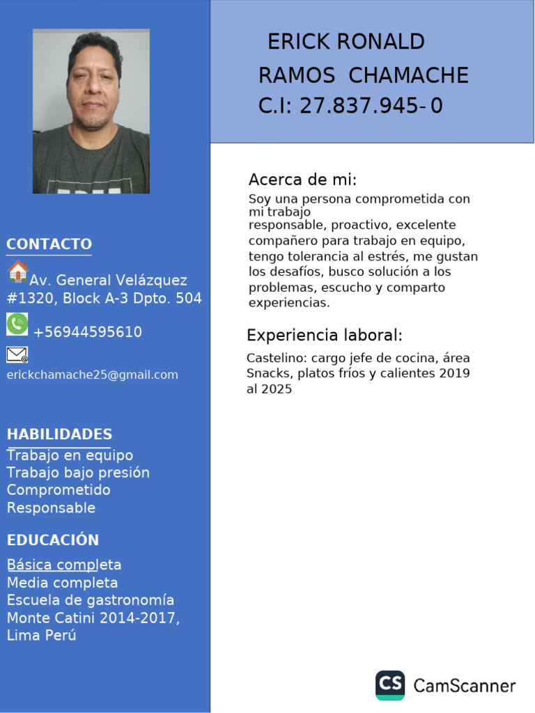 Erick Ronald Curriculum | PDF