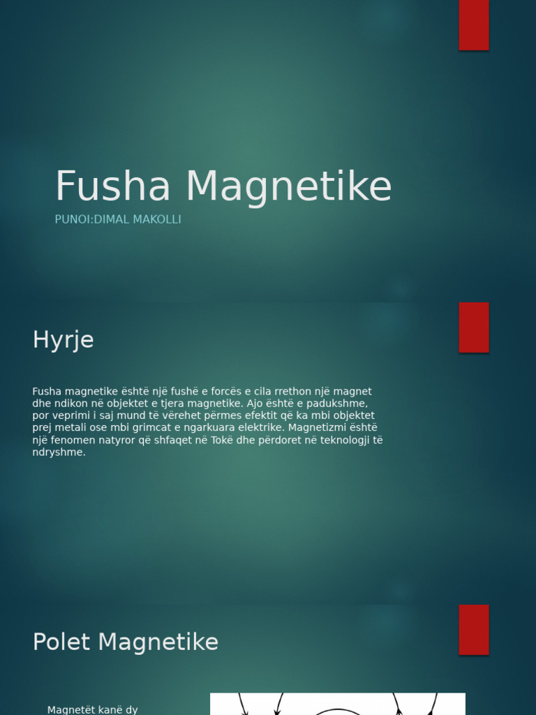 Fusha Magnetike Projekt | PDF