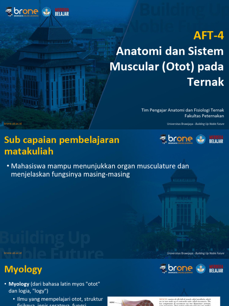 AFT-5 Sistem Muskular | PDF