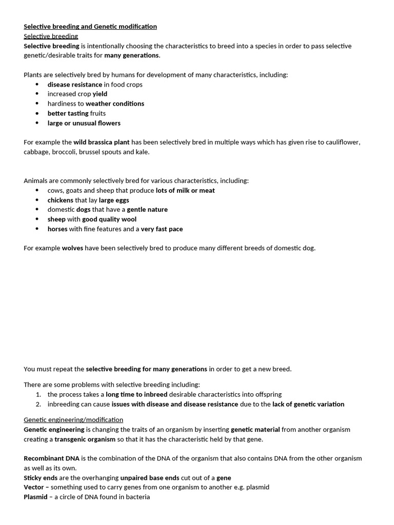 BIOLOGY Selective Breeding and Genetic Modification BIOLOGY | PDF ...