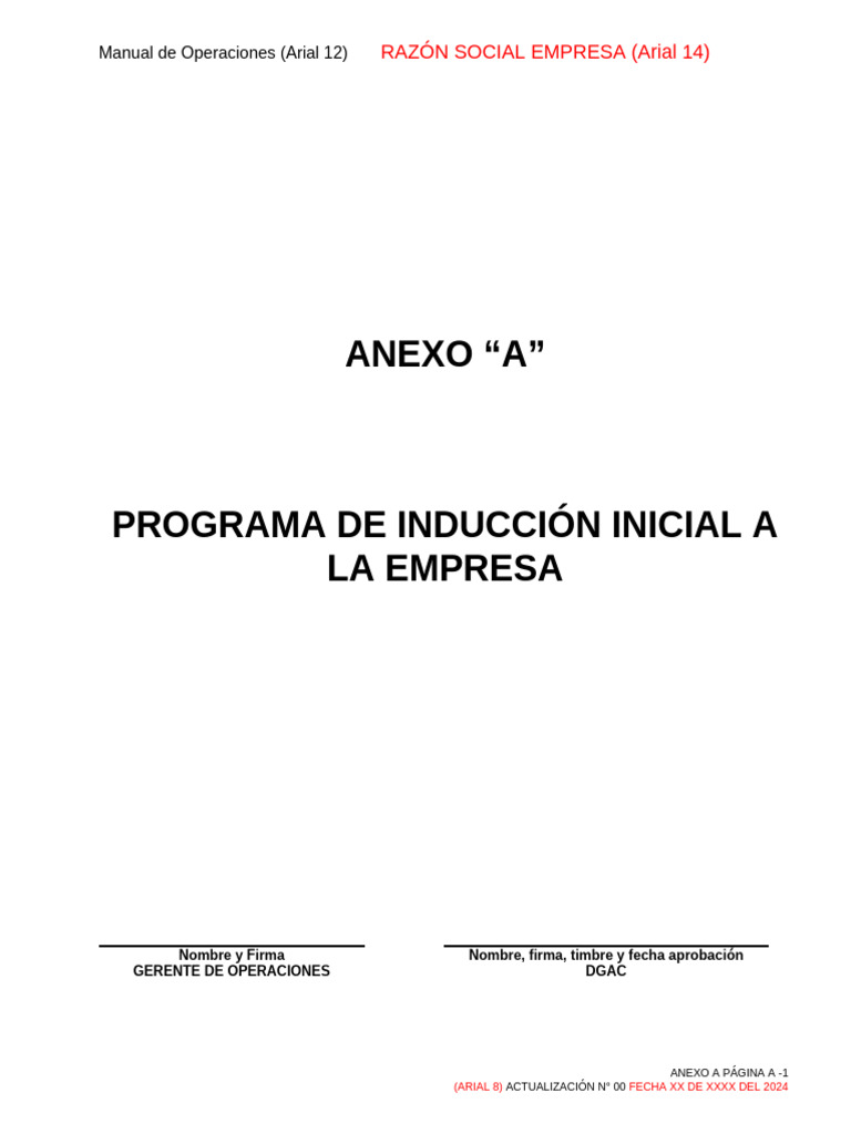Anexo A Programa Induccion Inicial | PDF | La seguridad informática | Seguridad