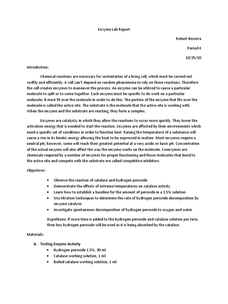 Enzyme Lab Report | PDF | Catalase | Active Site
