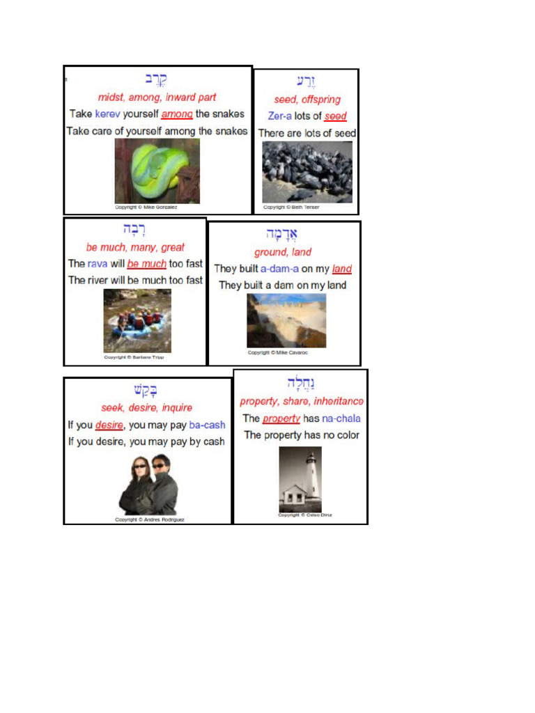 Test Qns 201-250 (Biblical Hebrew) | PDF