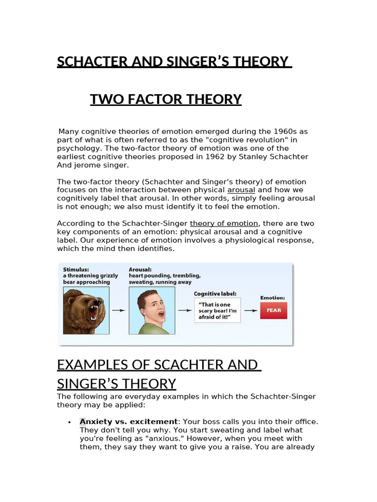 SCHACTER AND SINGER - Docx ASSIGNMENT | PDF | Emotions | Subjective ...