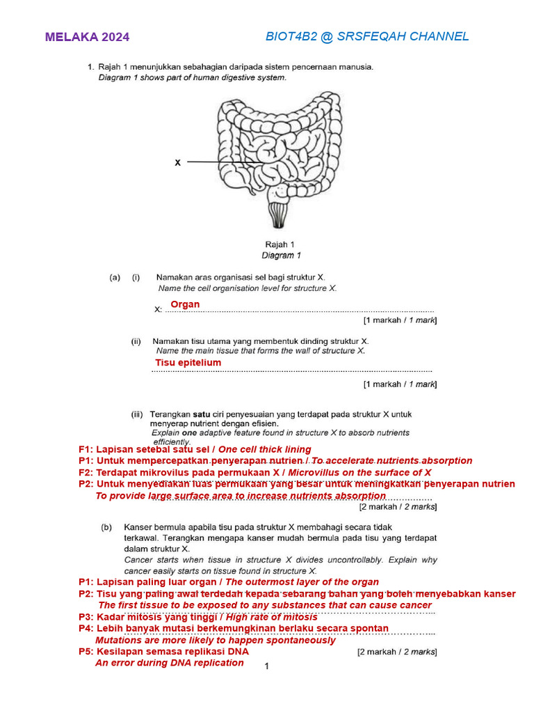 TRIAL BIO 2024 T4B2 Jawapan | PDF